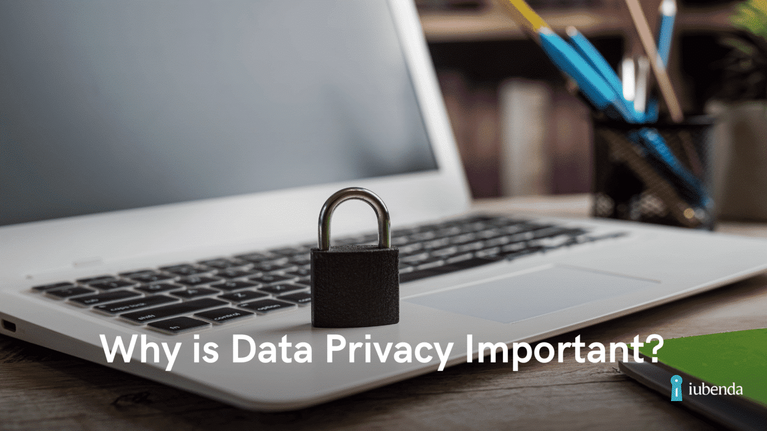 Why Is Data Privacy Important? A Guide for Individuals and Businesses ...